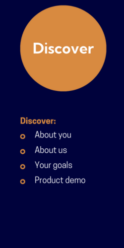 The accessplanit Process